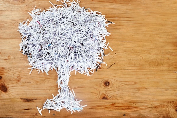 The Many Uses For Shredded Paper From Your Home - Home Guide Guru