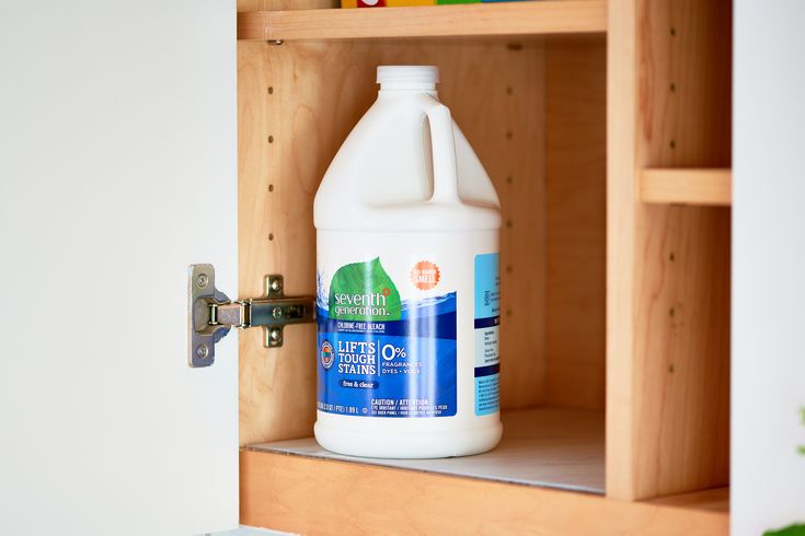 Bleach Storage Guidelines - Home Guide Guru